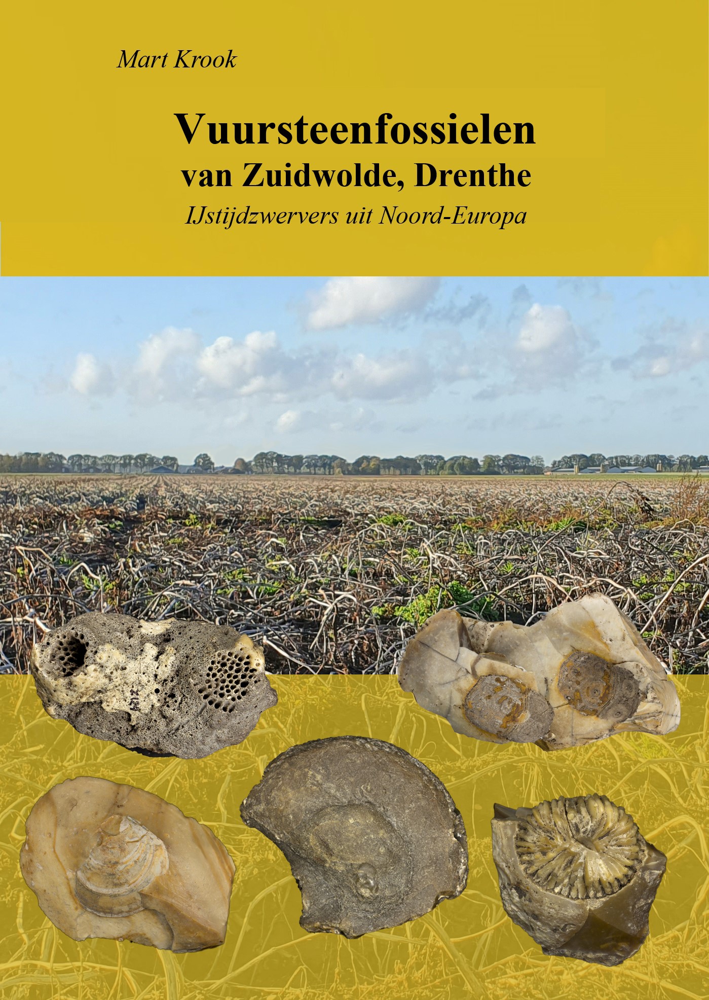 Nautilus in vuursteen, een levend fossiel – Vuursteenfossielen.nl